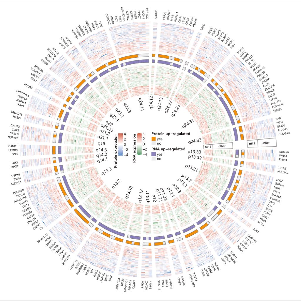 Vom Genotyp zum Phänotyp - Onkologie - Universimed - Knowledge that matters