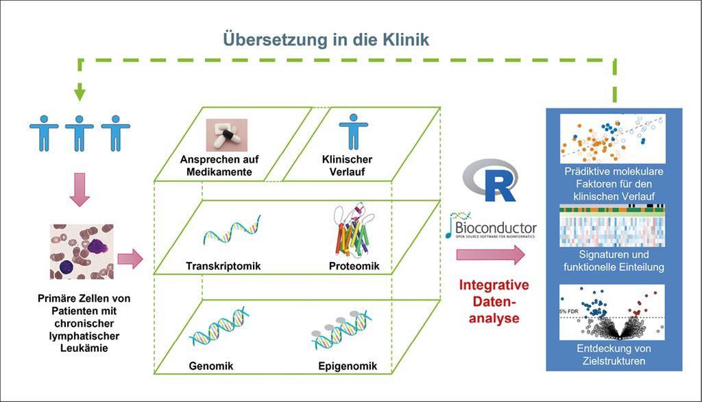 Vom Genotyp zum Phänotyp - Onkologie - Universimed - Medizin im Fokus