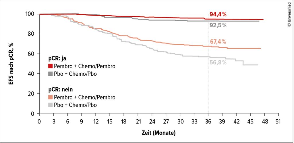 Was gibt’s Neues zur (neo)adjuvanten Therapie des frühen Mammakarzinom ...