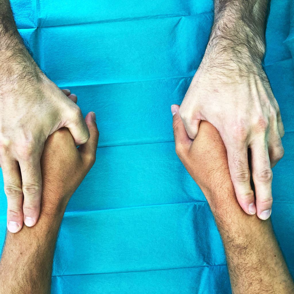 Das distale Radioulnargelenk - Orthopädie & Traumatologie - Universimed ...