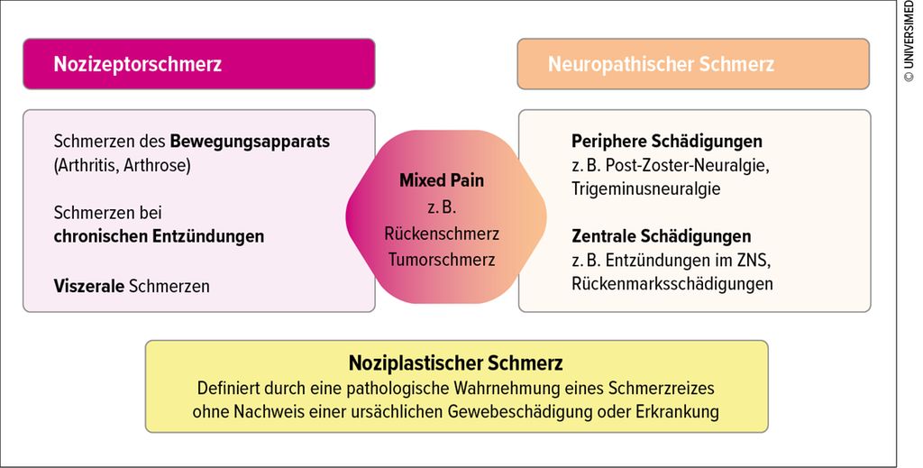 Schmerz im Alter: Besonderheiten bei der Therapie - Allgemeine Innere ...