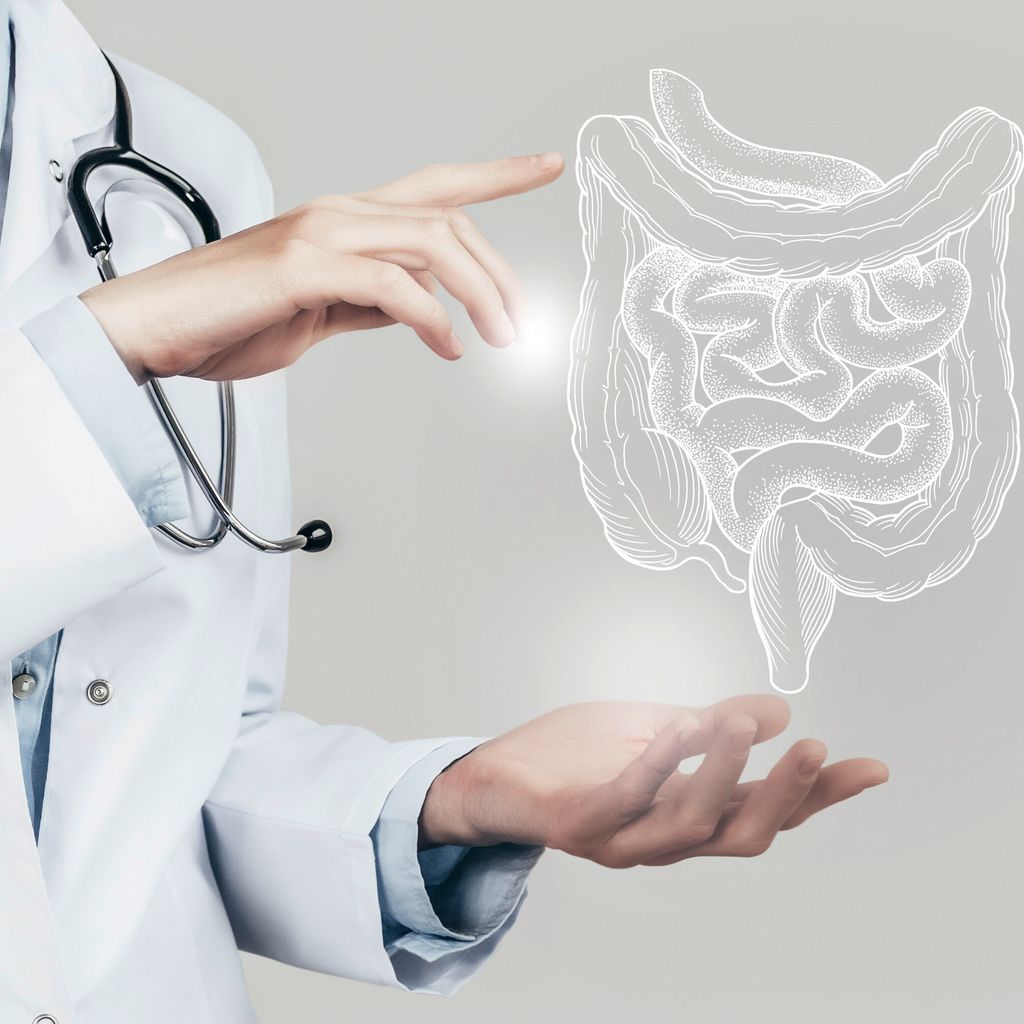 Ernährungspsychiatrie, Mikrobiota-Darm-Gehirn-Achse und Psychobiotika ...