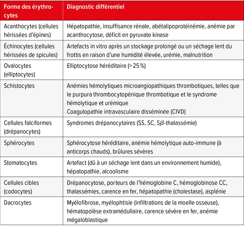 Interprétation de la formule sanguine au microscope - Contenu en ...