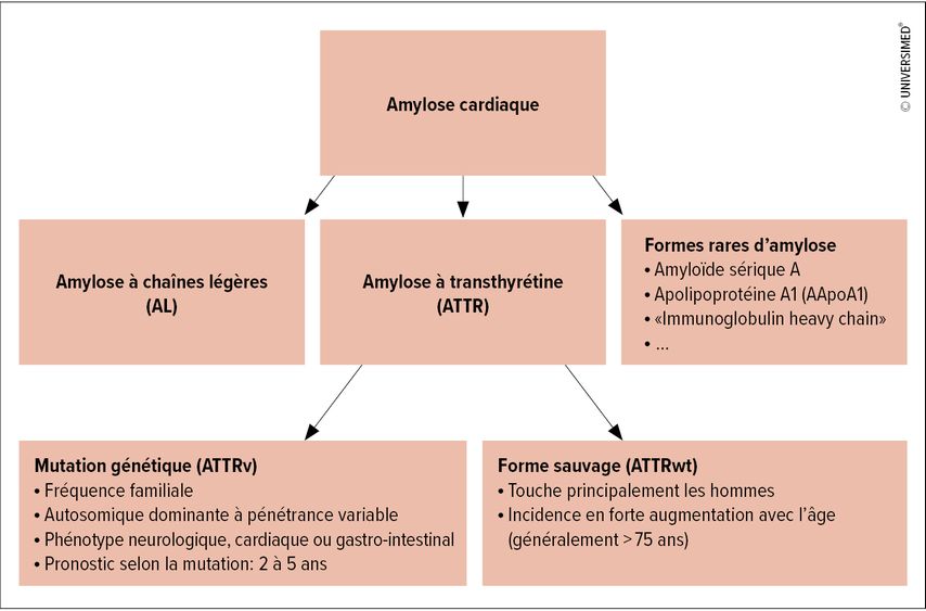 Amylose cardiaque: diagnostic rapide, traitement précoce - Contenu en ...