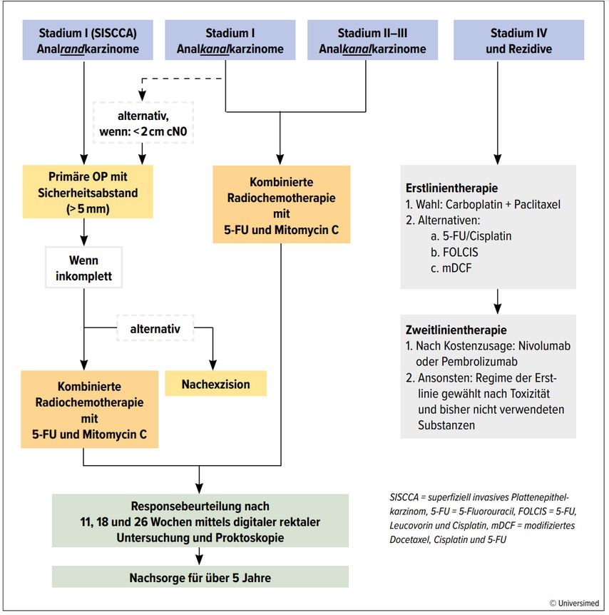 Molekulare Subgruppen und Immuntherapie beim Analkarzinom? - Onkologie ...