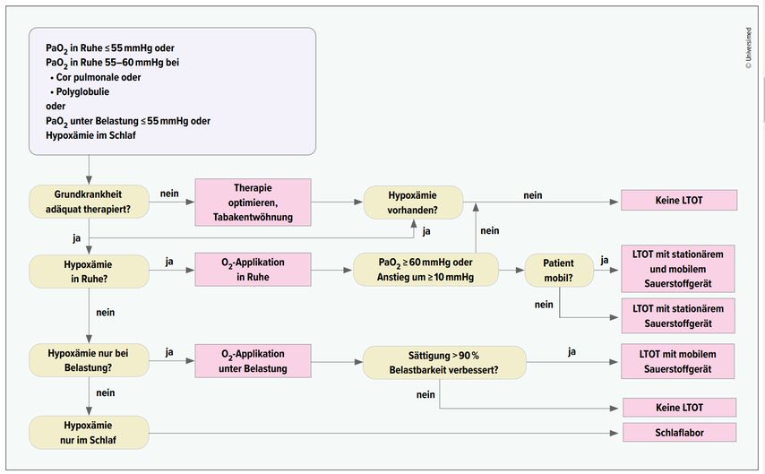 Sauerstoff ist ein Medikament: Die Langzeit-Sauerstofftherapie ...