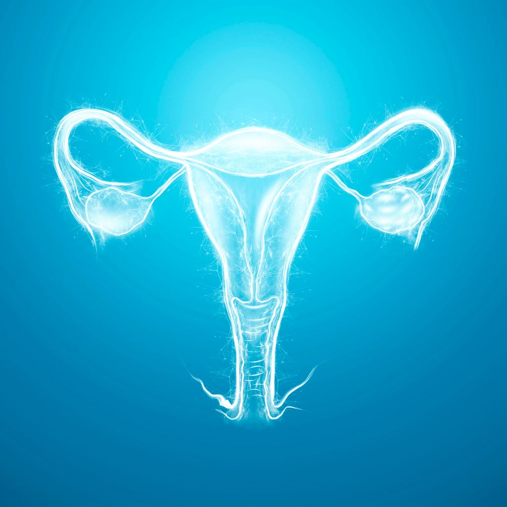 Wer sollte bei der Abklärung ins Zentrum? - Gynäkologie & Geburtshilfe ...