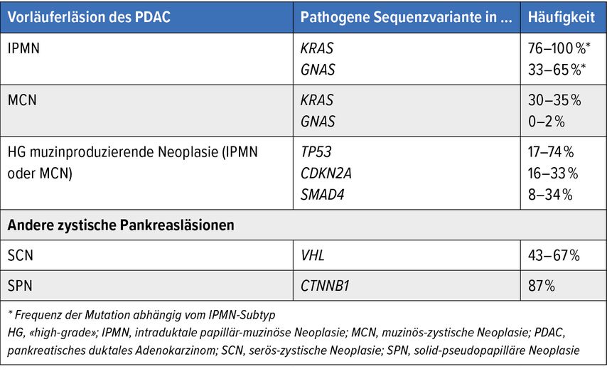 Vorläuferläsionen des Pankreaskarzinoms - Onkologie - Universimed ...
