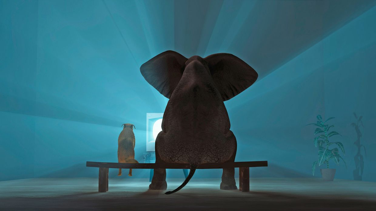 Herzstillstand: Der Elefant im Raum ist die Herzdruckmassage - Kardiologie & Gefässmedizin ...