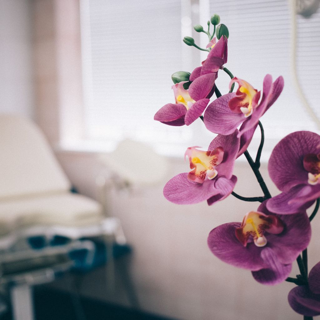 Der urogenitale Deszensus – ein globales Gesundheitsproblem ...