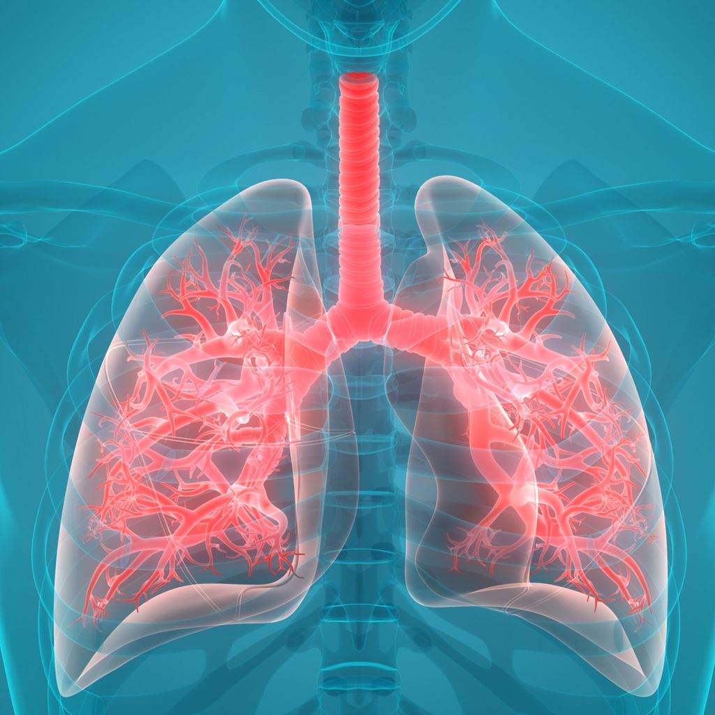 Allergien und Asthma bronchiale bei älteren Menschen - Pneumologie ...