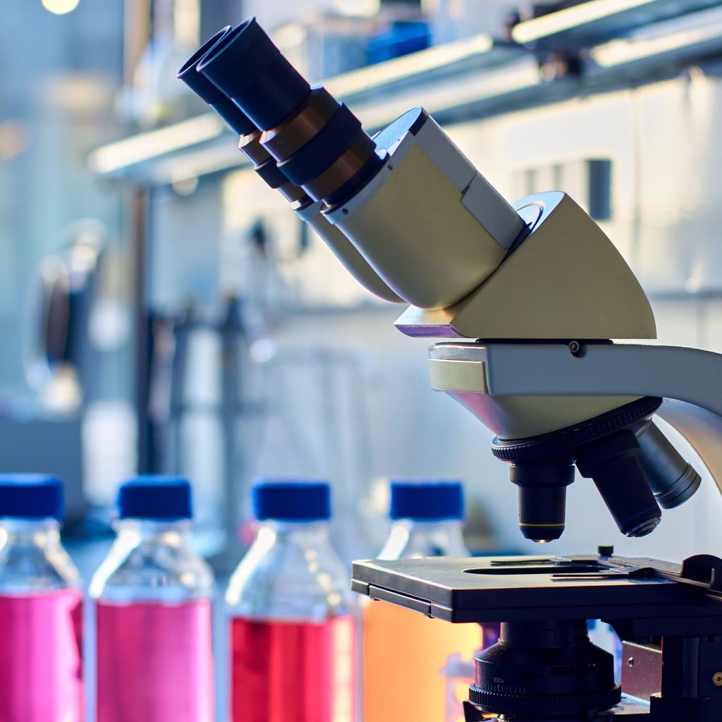 Rekonstruktion der weiblichen Brust nach Mastektomie - - Universimed ...