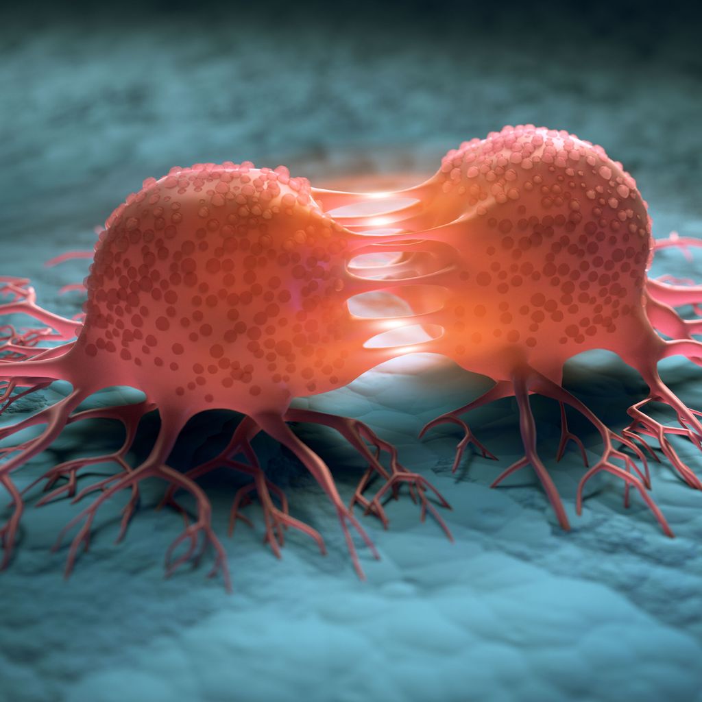 Multidisziplinärer Fokus in der Behandlung des Mammakarzinom ...