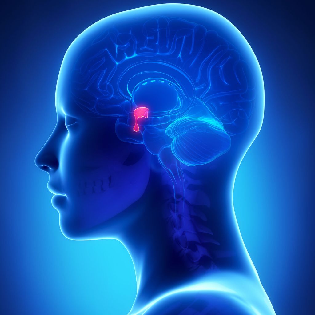 Medikamentöse Therapieoptionen bei Akromegalie - Endokrinologie ...