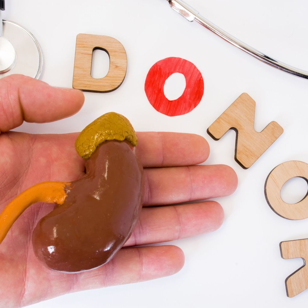 Meilleure fonction de la greffe après un don de rein vivant ...