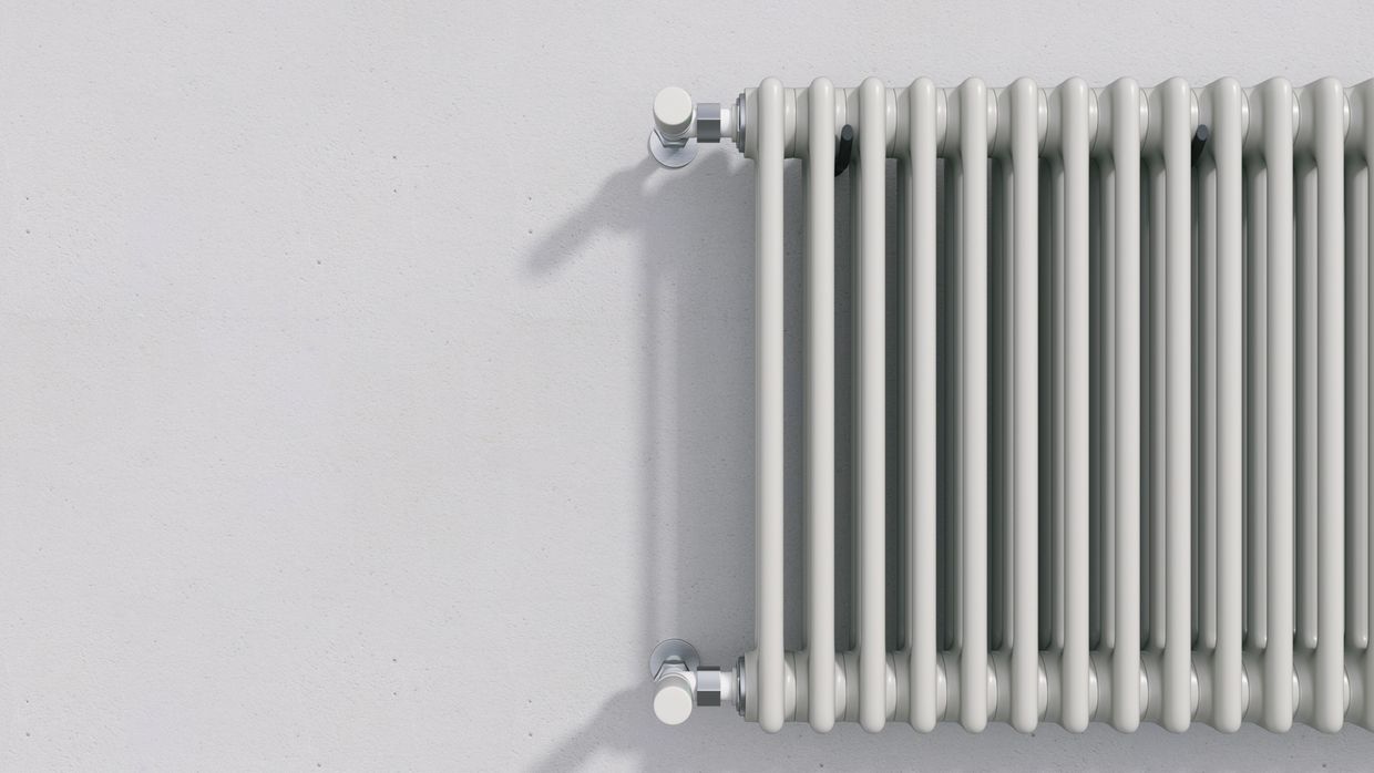 Die Hausstaub-milbenallergie - Allgemeine Innere Medizin - Universimed ...