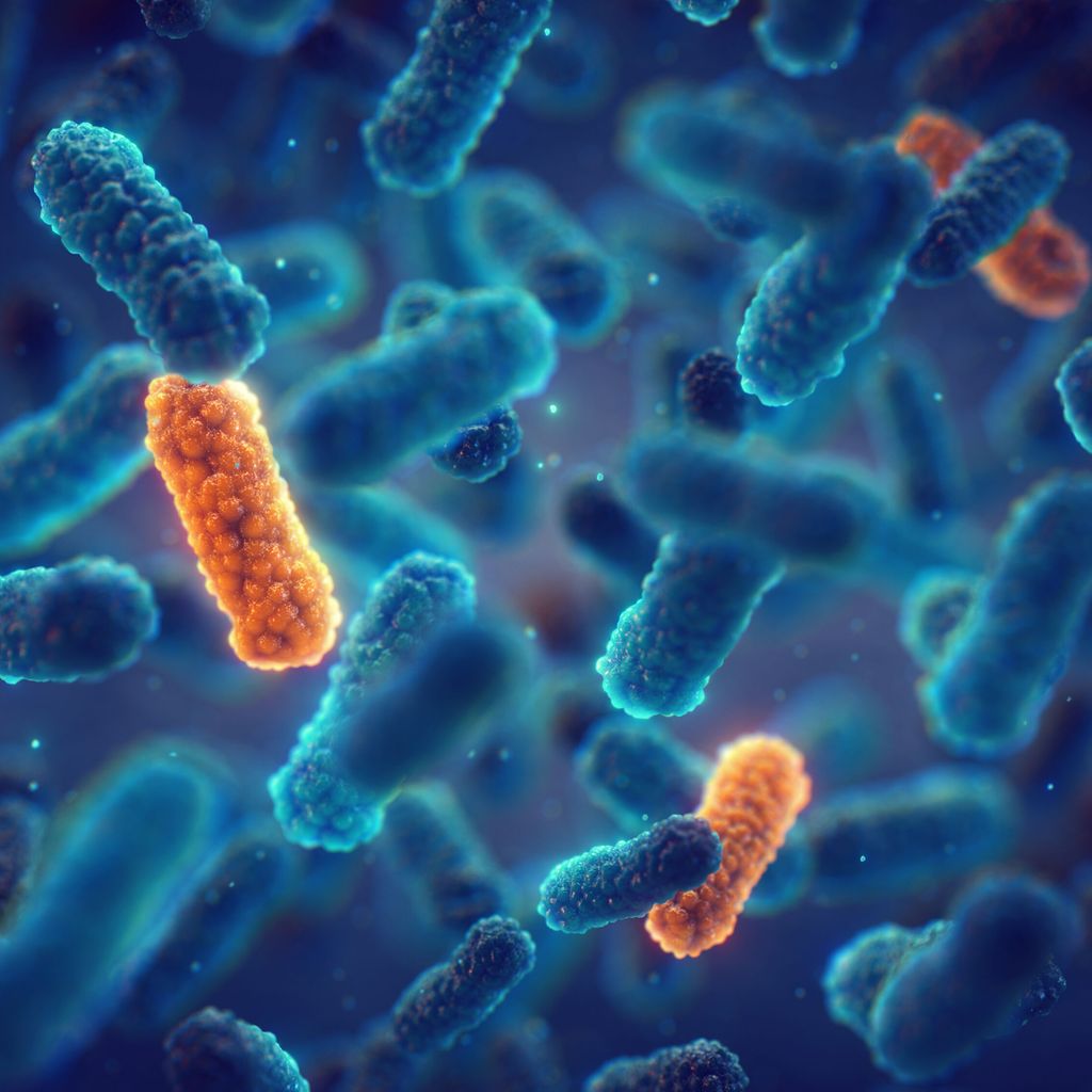 Multiresistente gramnegative Erreger: Was bringt die neue Leitlinie de ...