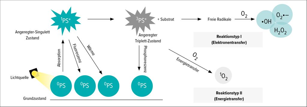 Photodynamische Therapie bei orthopädischen Infektionen - Dermatologie ...