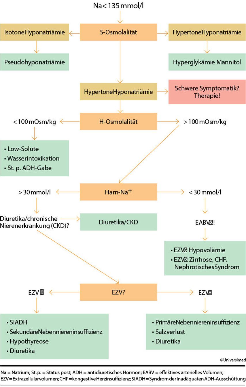 Hyponatriämie:Was tun in der Praxis? - Allgemeinmedizin - Universimed ...