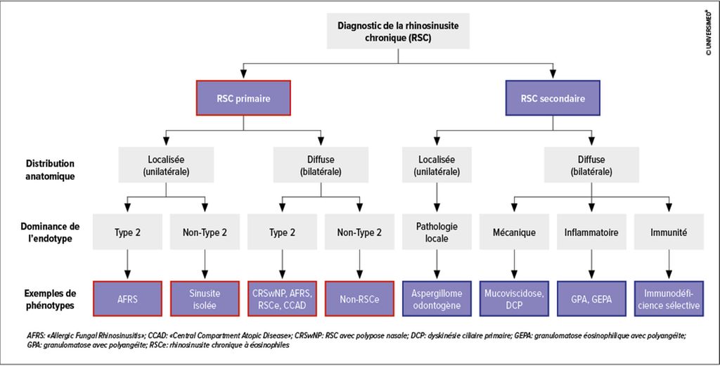 Universimed - Medizin im Fokus
