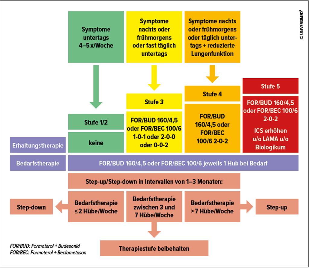 Asthma: neue Aspekte aus Diagnostik und Therapie - Pneumologie ...