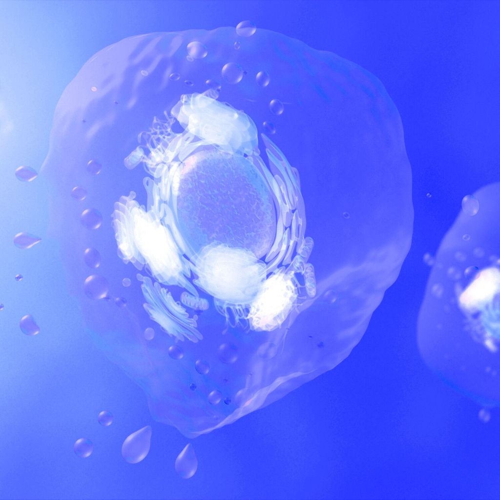 Extrazelluläre Vesikel, die Botenstoffe der Regeneration - Orthopädie ...