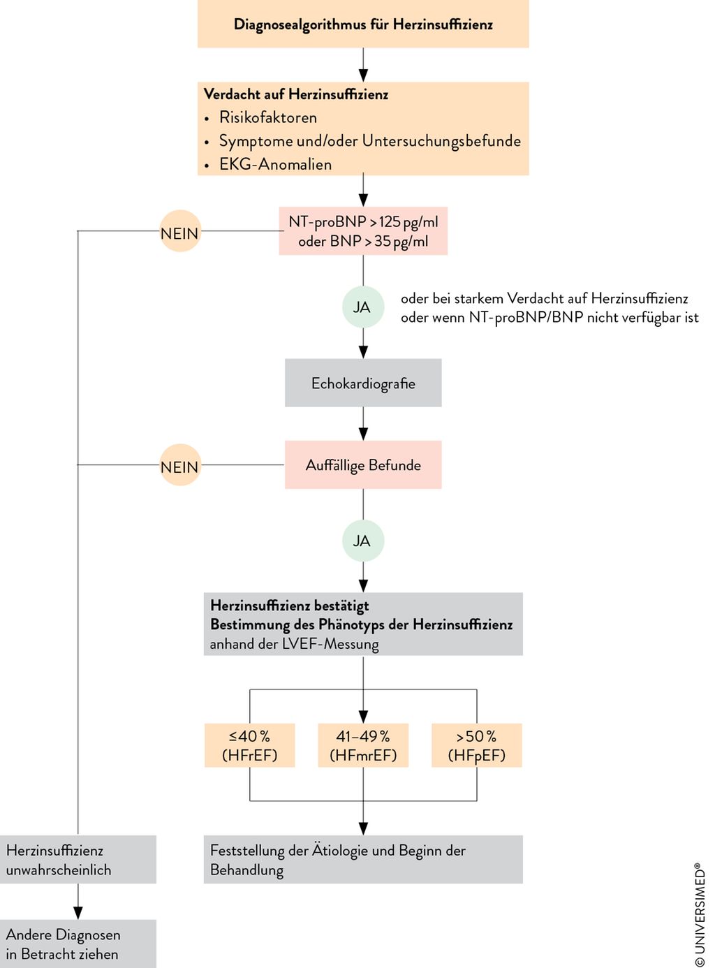 Therapie der chronischen Herzinsuffizienz - - Universimed - Medizin im ...