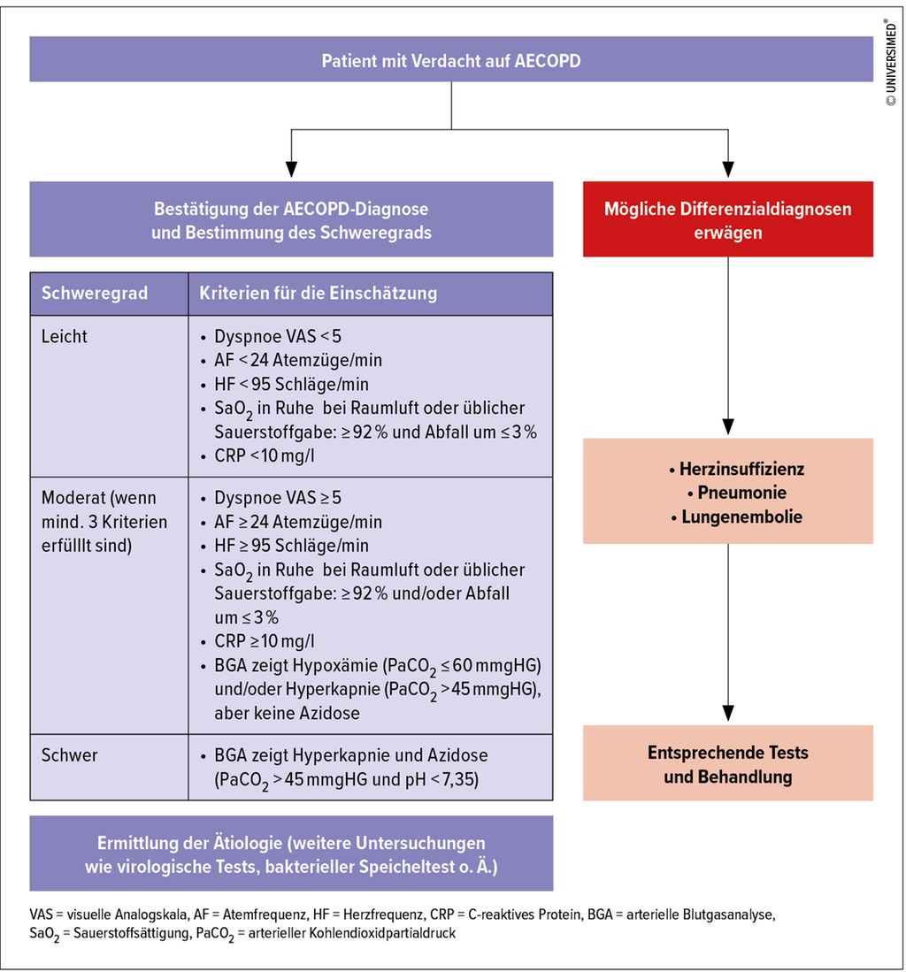 Aktuelle Konzepte bei COPD - Pneumologie - Universimed - Medizin im Fokus