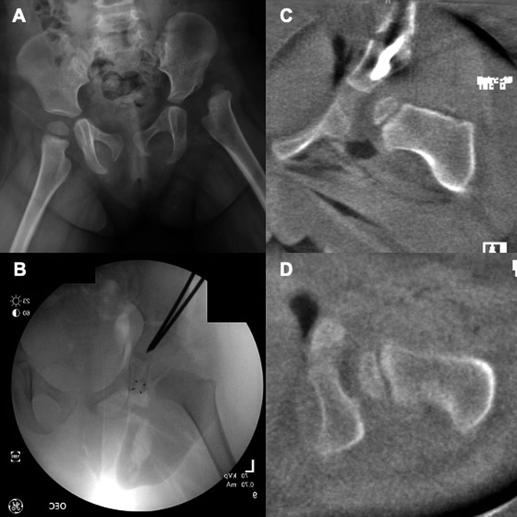 Ein unvergessliches Jahr - Orthopädie & Traumatologie - Universimed ...