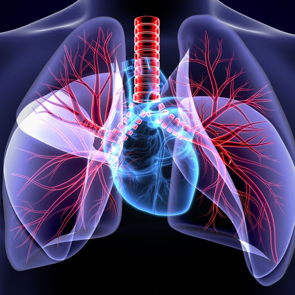 Chronisch thromboembolische pulmonale Hypertonie: moderne Therapiekonz ...