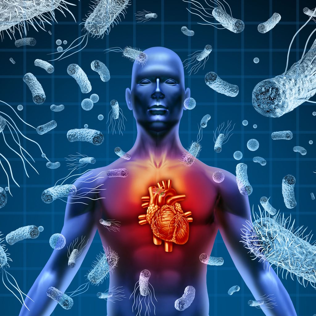 Endokarditis-Guideline: größere Rolle für ambulante antibiotische Ther ...