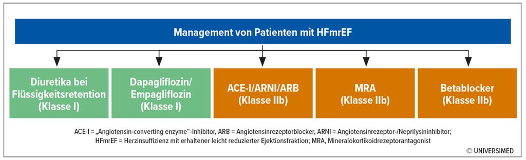 Herzinsuffizienz-Guideline: Empfehlung für SGLT2i bei HFmrEF und HFpEF ...