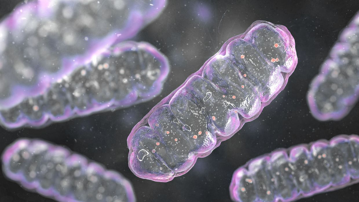 Sheehan-Syndrom als postpartales Risiko - Diabetologie & Endokrinologie ...