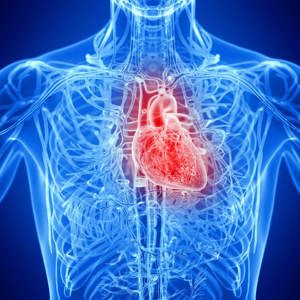 Infektiöse Endokarditis: antimikrobielle Therapie - Infektiologie ...