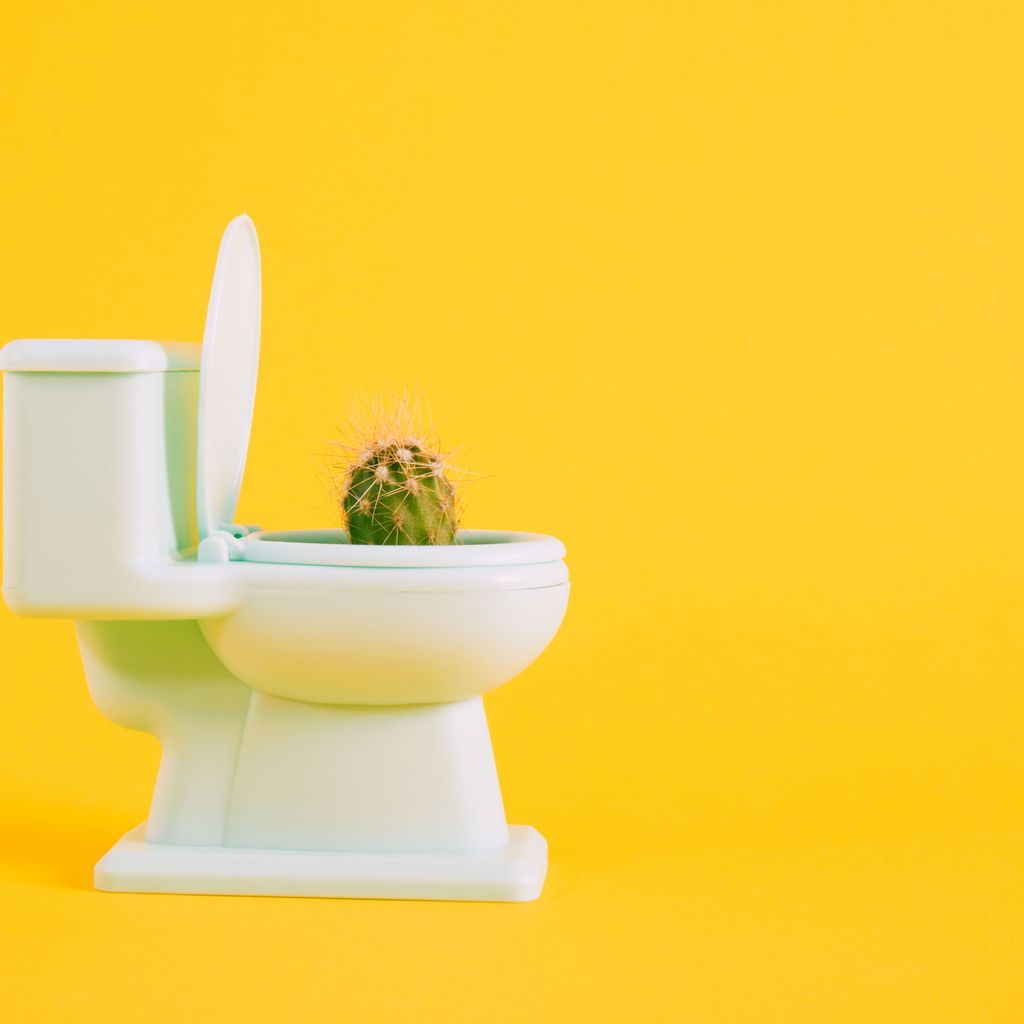 Update Proktologie: Analfissuren, Hämorrhoiden und anorektale Fisteln ...