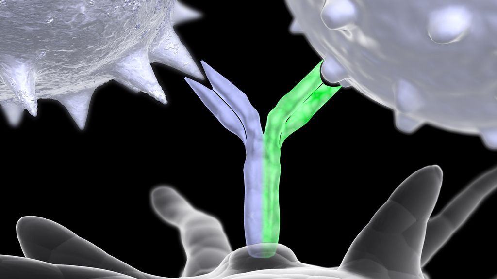 Wann Progesterontherapie und wann Zervixcerclage? - Gynäkologie ...
