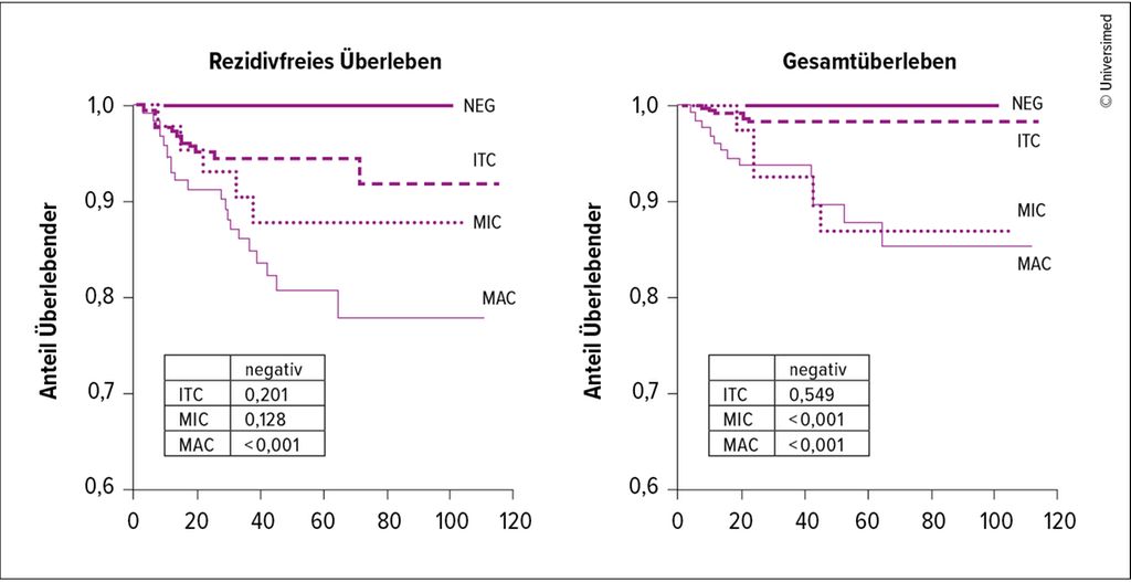 Operatives Vorgehen beim frühen Zervixkarzinom - Gynäkologie ...