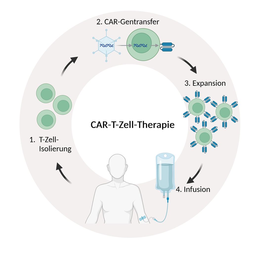 CARs, TRUCKs und die nächste Generation der T-Zell-Therapie - Onkologie ...