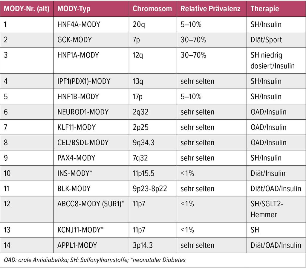 Ein Update zu MODY - Diabetologie & Endokrinologie - Universimed ...