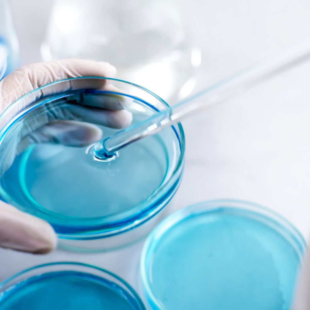 Fluomizin® zeigt Wirksamkeit gegen Biofilm bei bakteriellen Vaginalinf ...