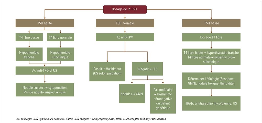 Le goitre thyroïdien au cabinet du médecin de premier recours ...