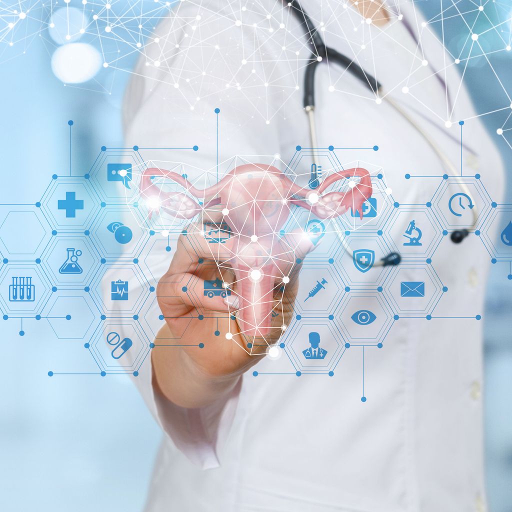 Neuigkeiten aus den Bereichen Endometriose, CIN und Konisation ...