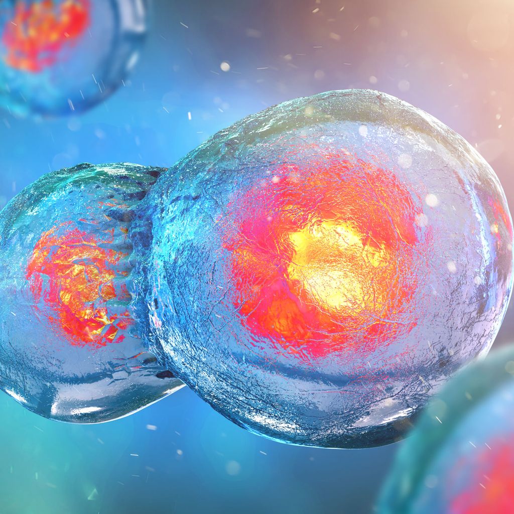 «Nur in wenigen Fällen eine sinnvolle Option» - Gynäkologie ...