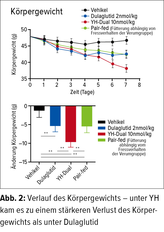 Duale Rezeptoragonisten in Entwicklung - Endokrinologie & Diabetologie ...
