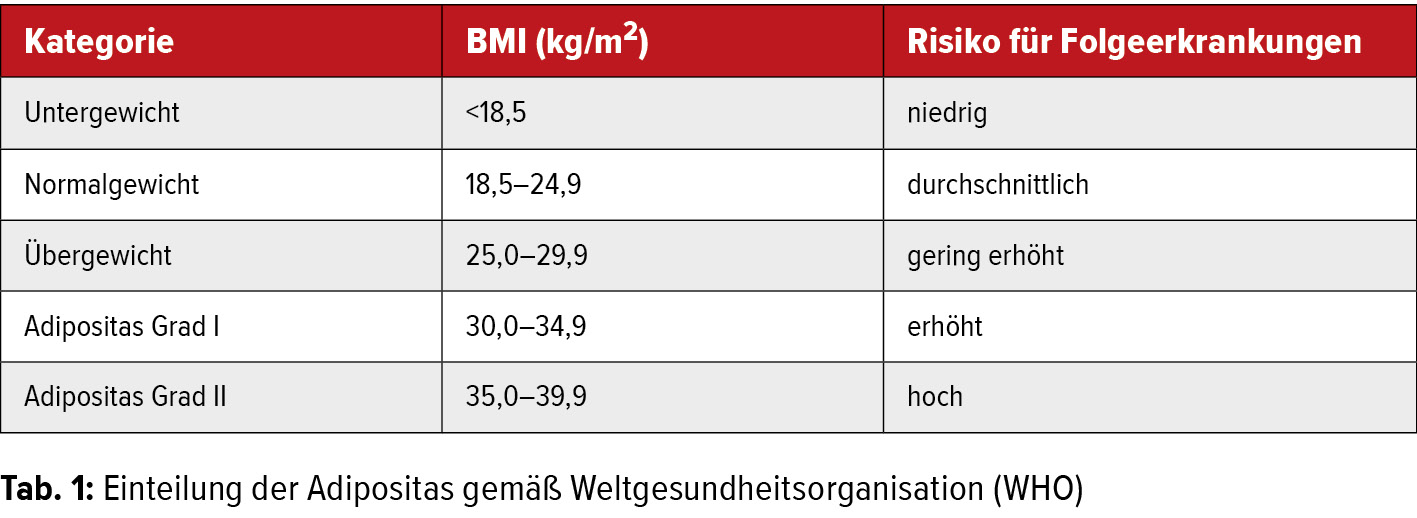 Adipositas – Abklärungen und konservative Therapiemöglichkeiten ...
