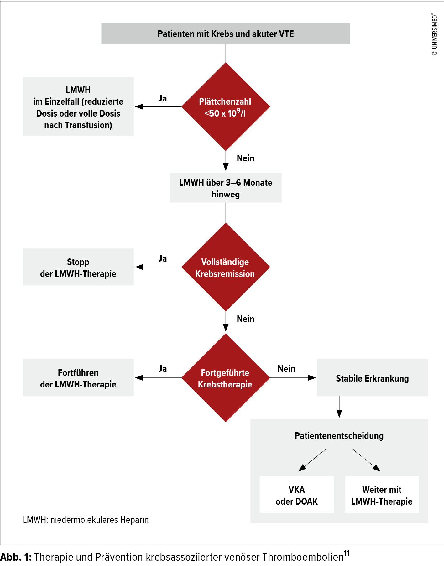 Aktuelle Fragen der Antikoagulation - Kardiologie & Gefässmedizin ...