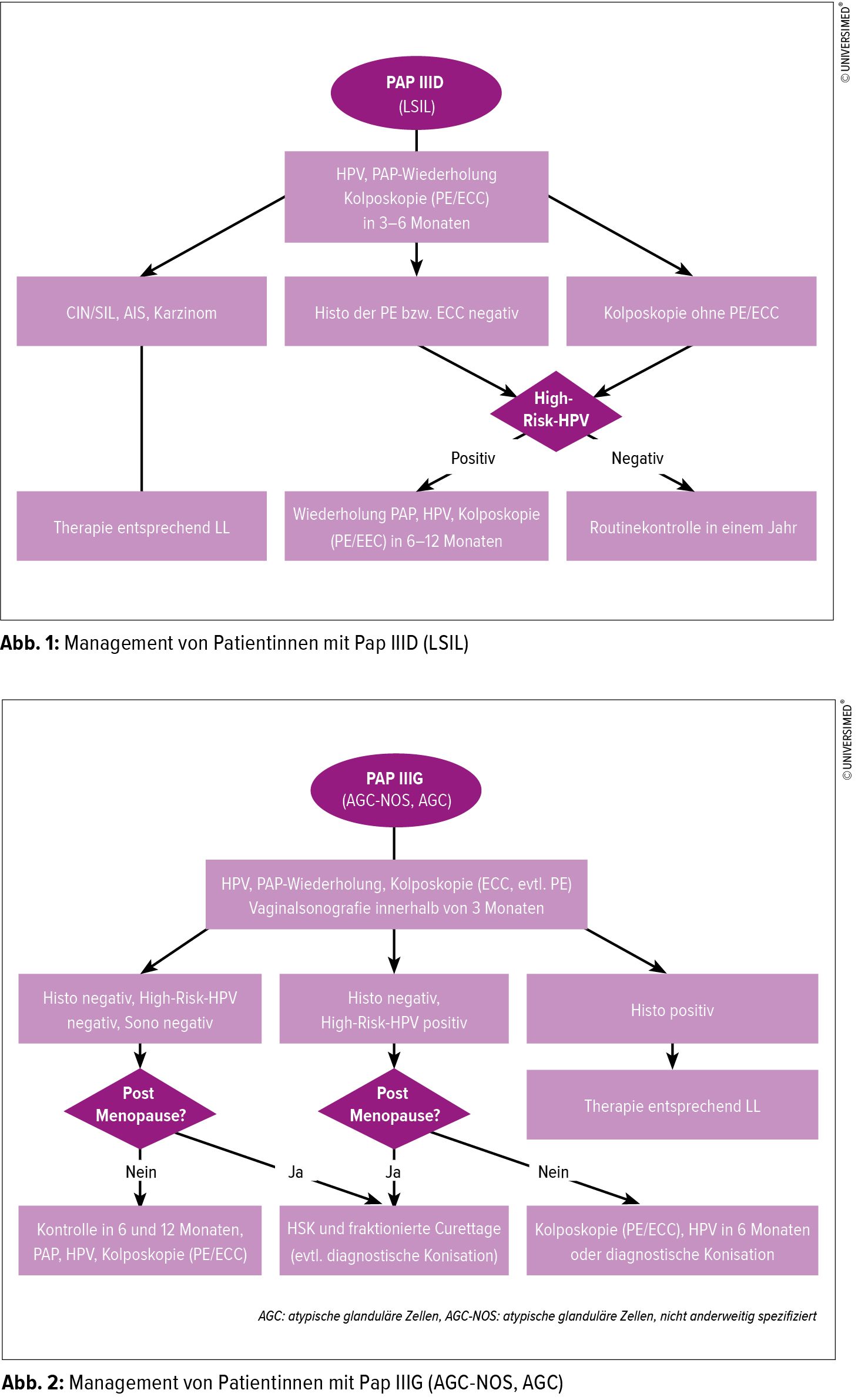Diagnostik und Therapie zervikaler intraepithelialer Neoplasien (CIN ...