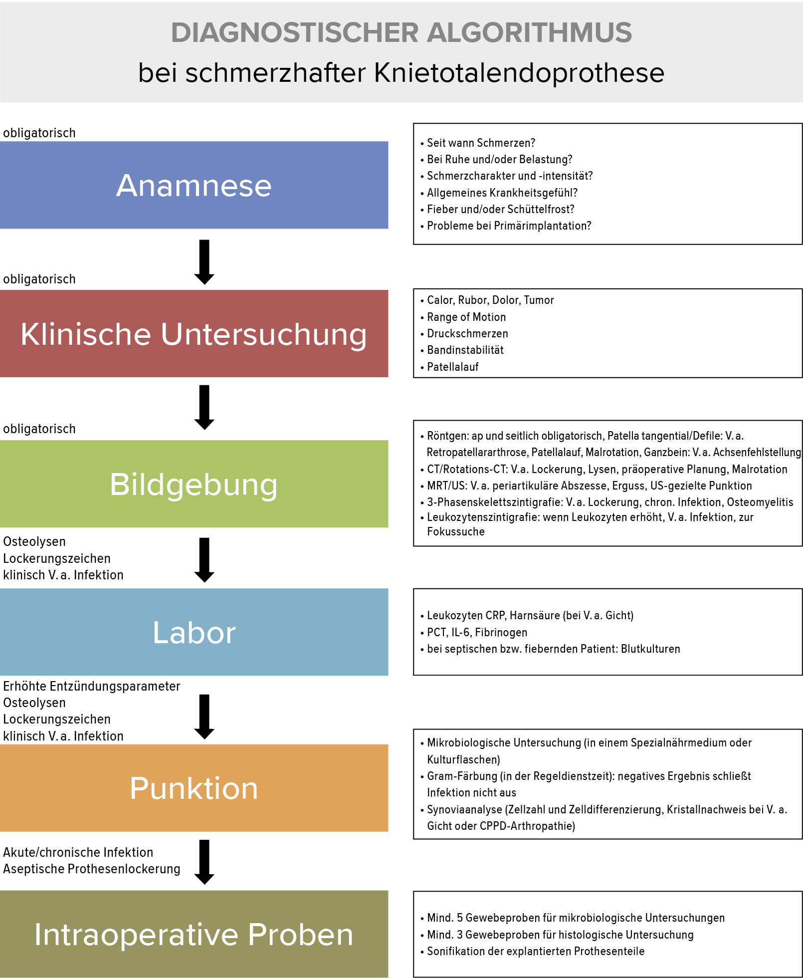 Diagnostischer Algorithmus bei schmerzhafter Knieprothese - Orthopädie ...