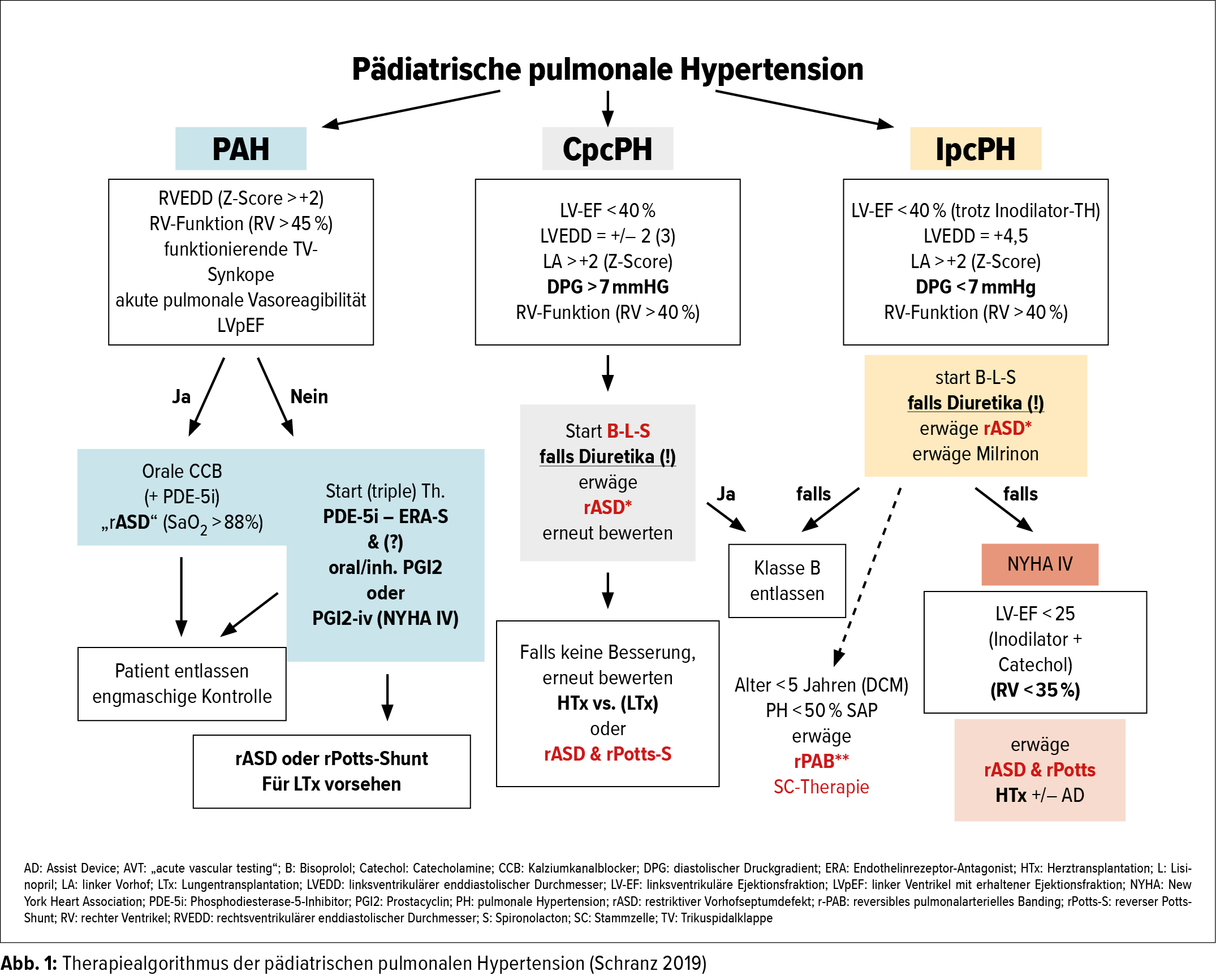 Diagnostik und Therapie: pulmonale Hypertension im Kindesalter ...